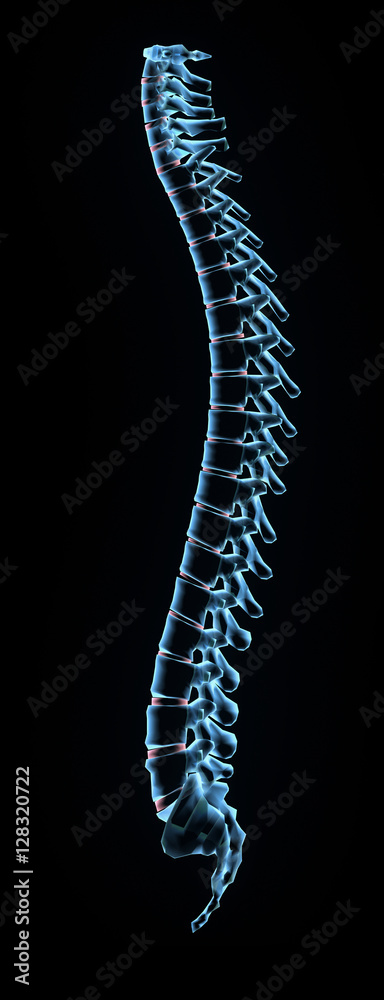 Blue X-ray Vertebral Spinal Column, Side View Stock Illustration ...