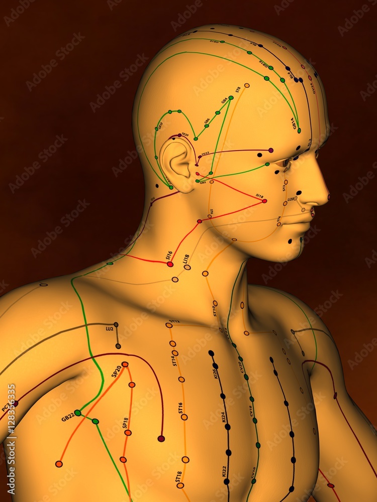 Acupuncture model M-POSE M4ay-06-2, 3D Model Stock Illustration | Adobe ...
