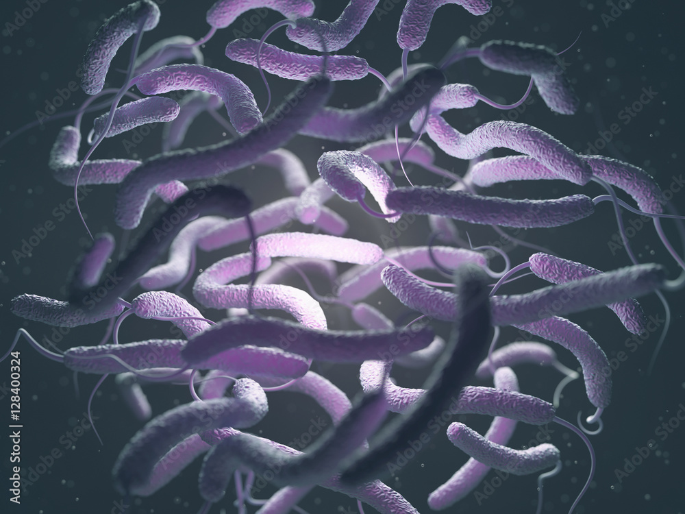 Vibrio Cholerae Microscope