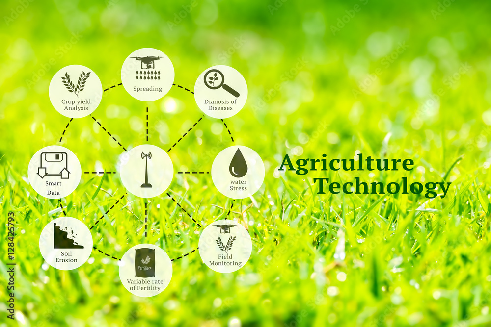 Precision Agriculture and Agritech concept. Sensor network in ...