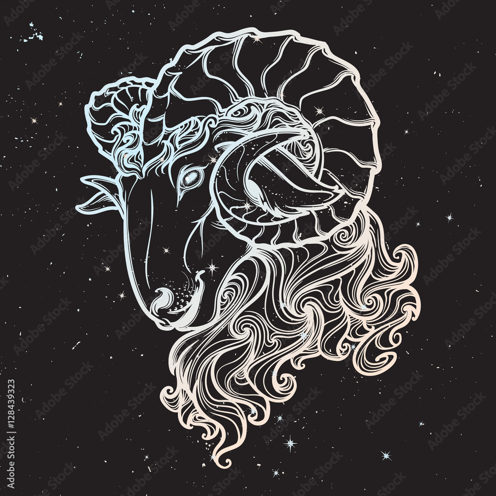 Zodiac sign of Aries with a decorative frame of roses Astrology concept ...