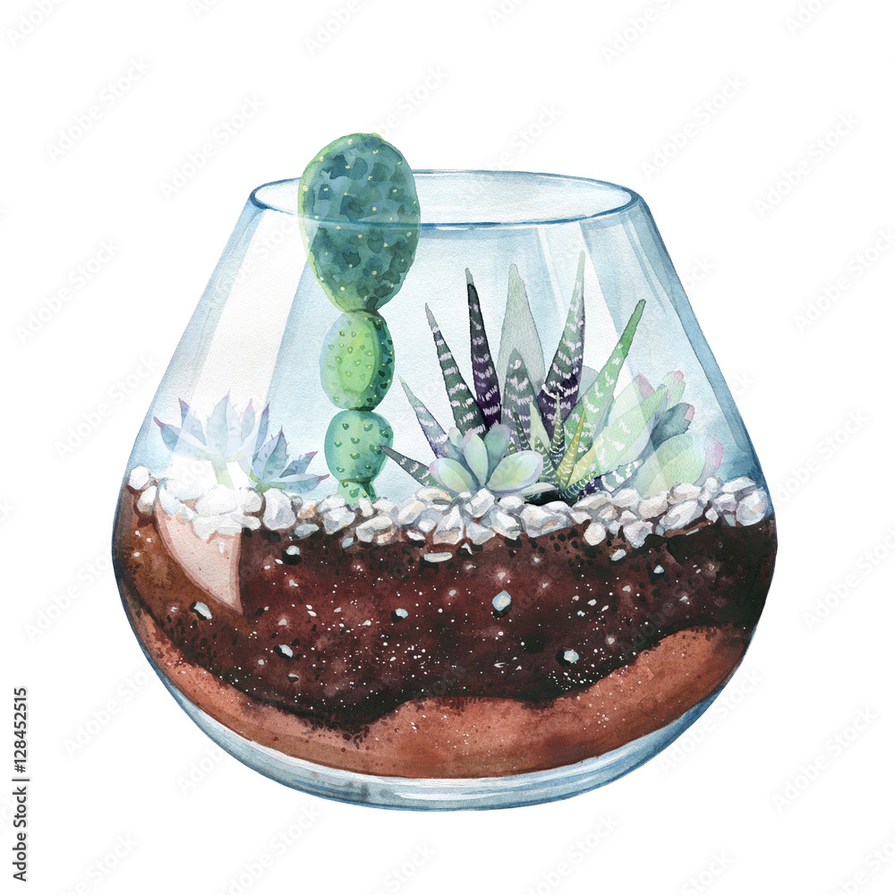 Watercolor illustration. Composition of succulents. Floral design ...