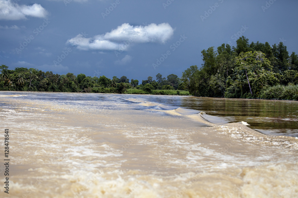 Kinabatangan river, Malaysia, rainforest of Borneo island Stock Photo ...