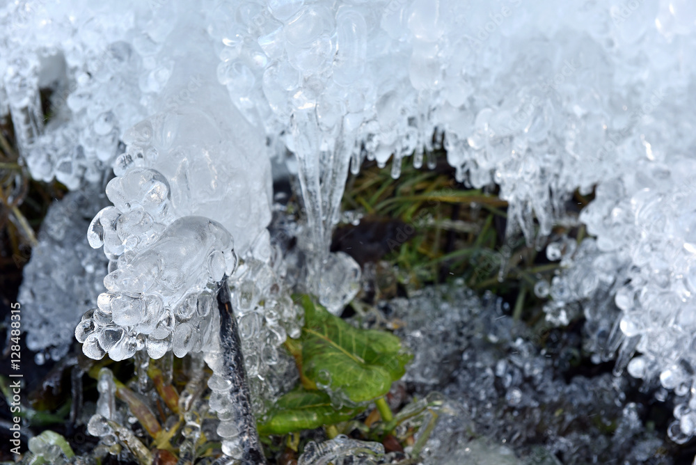 Abstract ice crystals on frozen plants Stock Photo | Adobe Stock