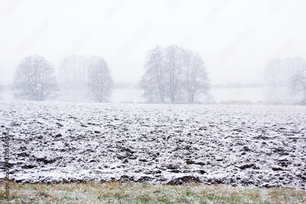 Snowy field Stock Photo | Adobe Stock