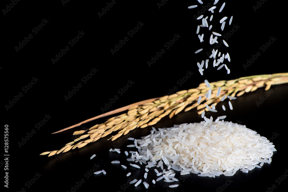 Rice grain with ears and pouring rice on the black background Stock ...