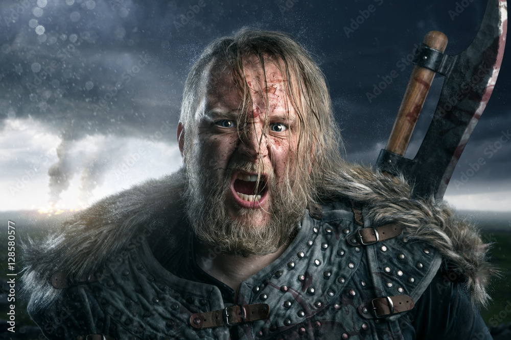 Wikinger im Kampf Stock Photo | Adobe Stock