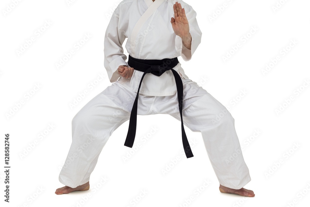 Fighter performing karate stance Stock Photo | Adobe Stock