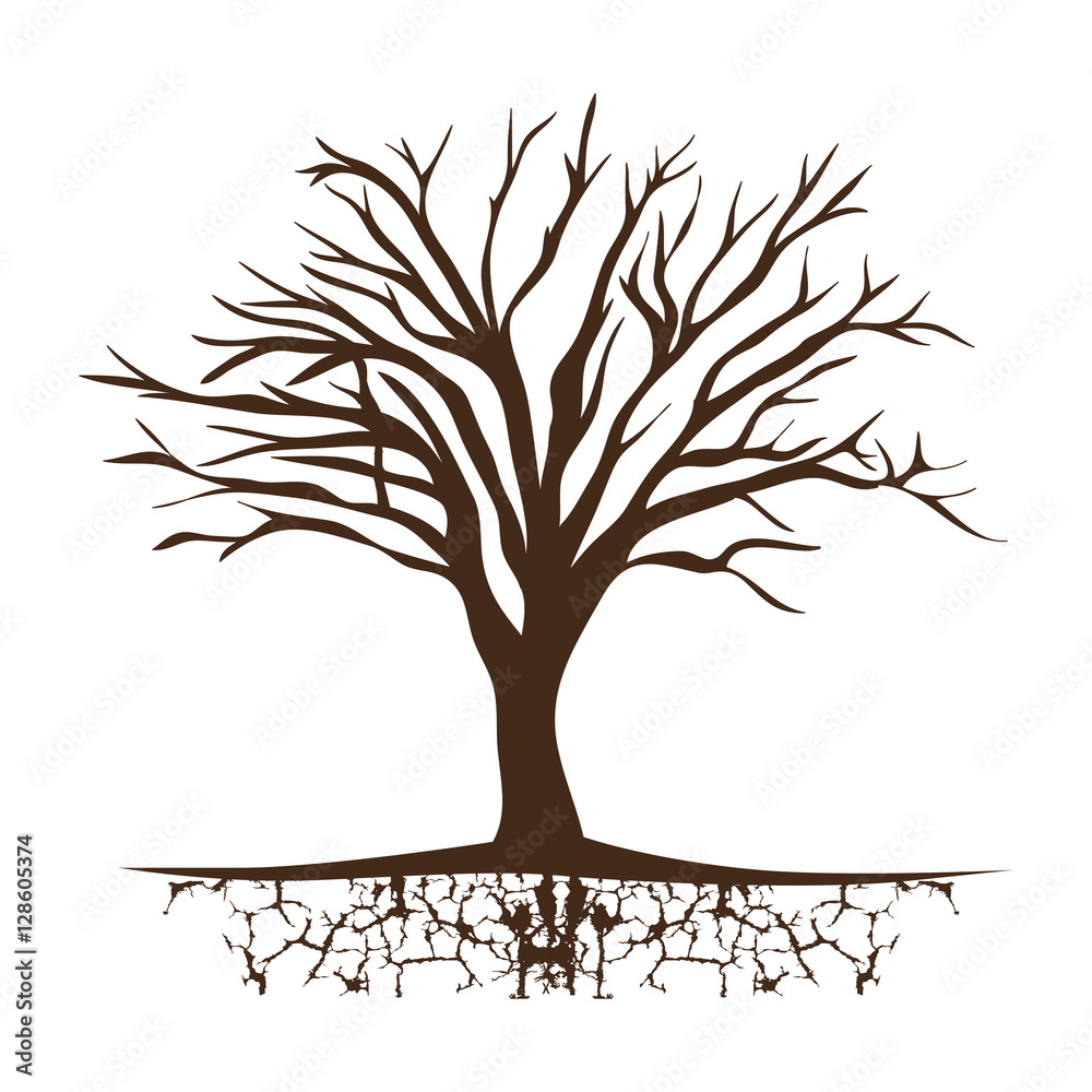 tree trunk with branchs without leaves vector illustration Stock Vector ...