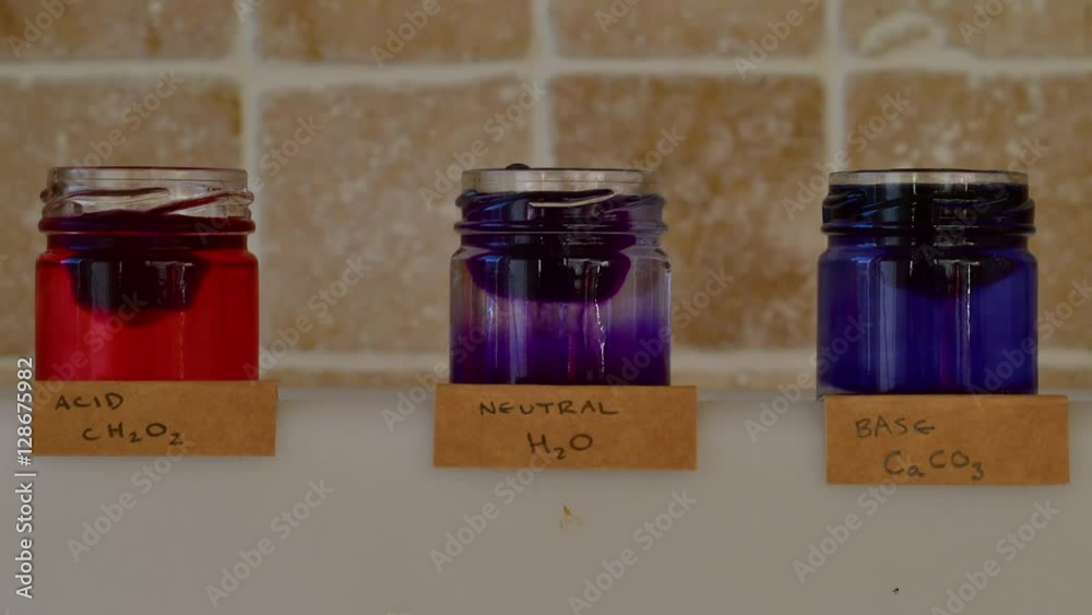 Video „Red cabbage pH indicator melting in acid base and neutral ...