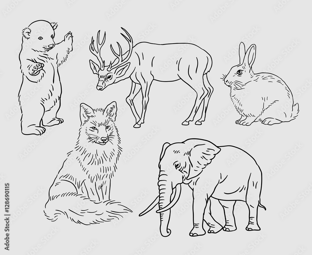 Animal line art drawing style. Good use for symbol, logo, web icon ...