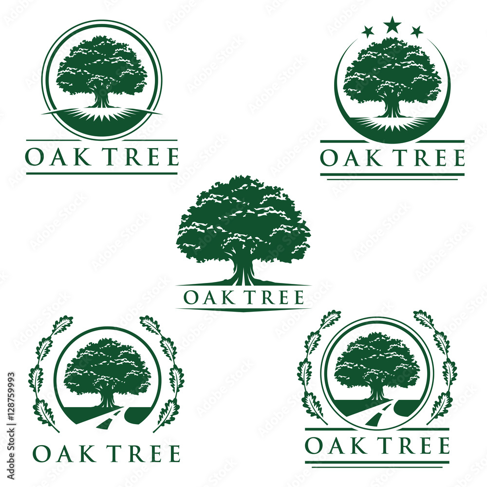 eco green oak tree vector logo design Stock Vector | Adobe Stock