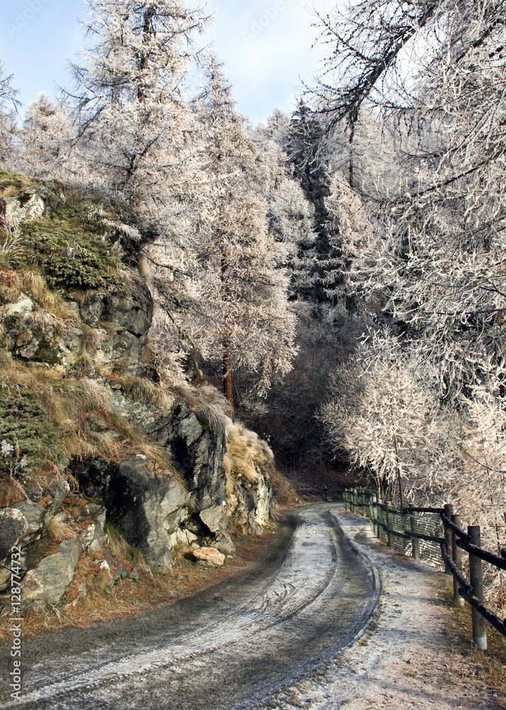 la strada sterrata ,imbiancata dalla poca neve,si snoda lungo il bosco ...