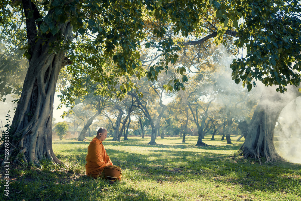 Asian monk walk under a tree,monk meditating in area around wild Stock ...