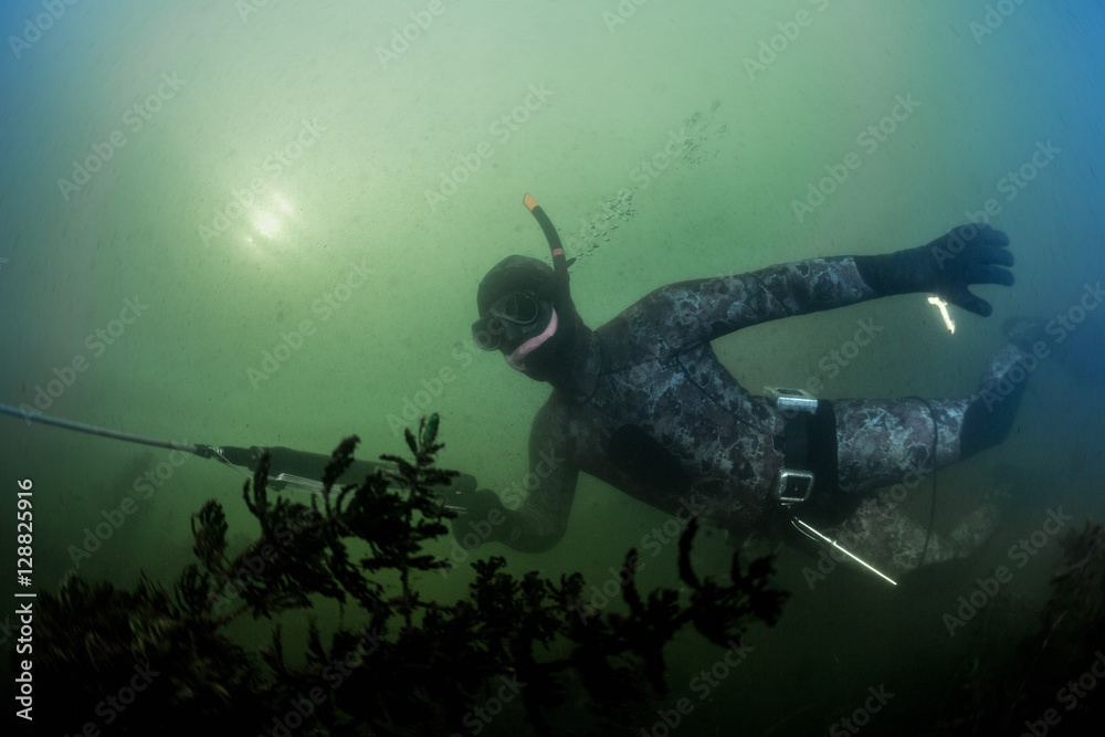 Underwater shot of the hunter with speargun in a lake with dirty water ...