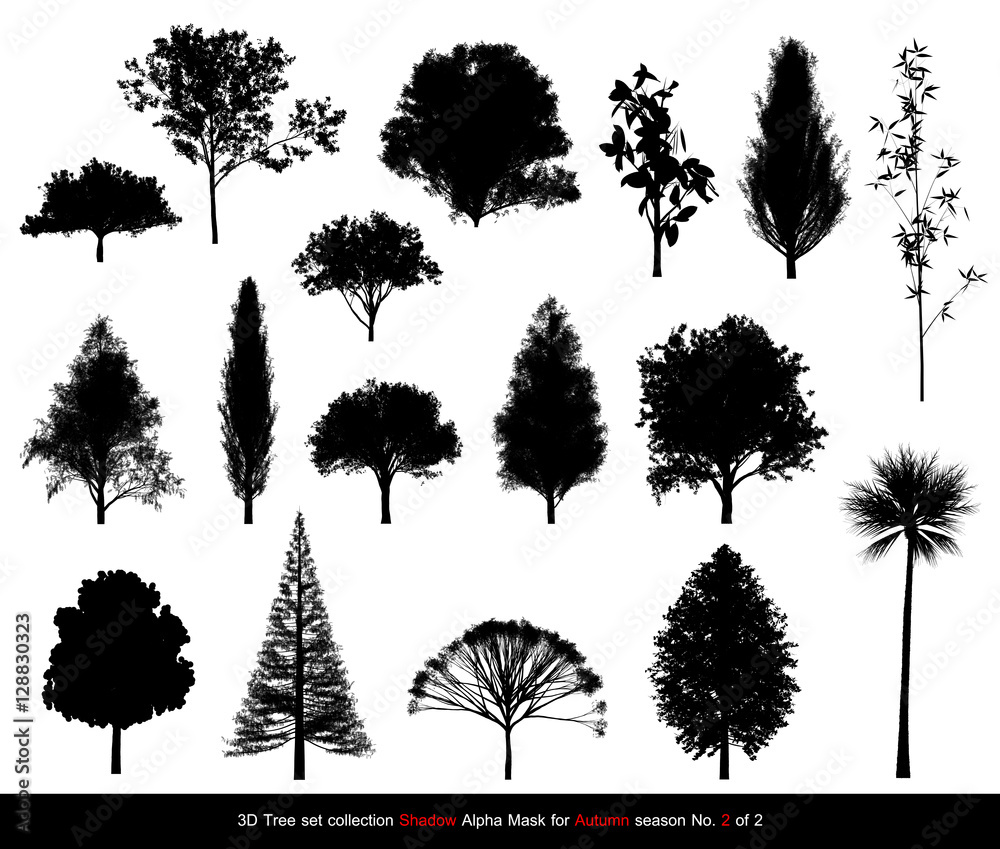 Silhouette Shadow black tree or alpha mask of Tree Autumn season set ...