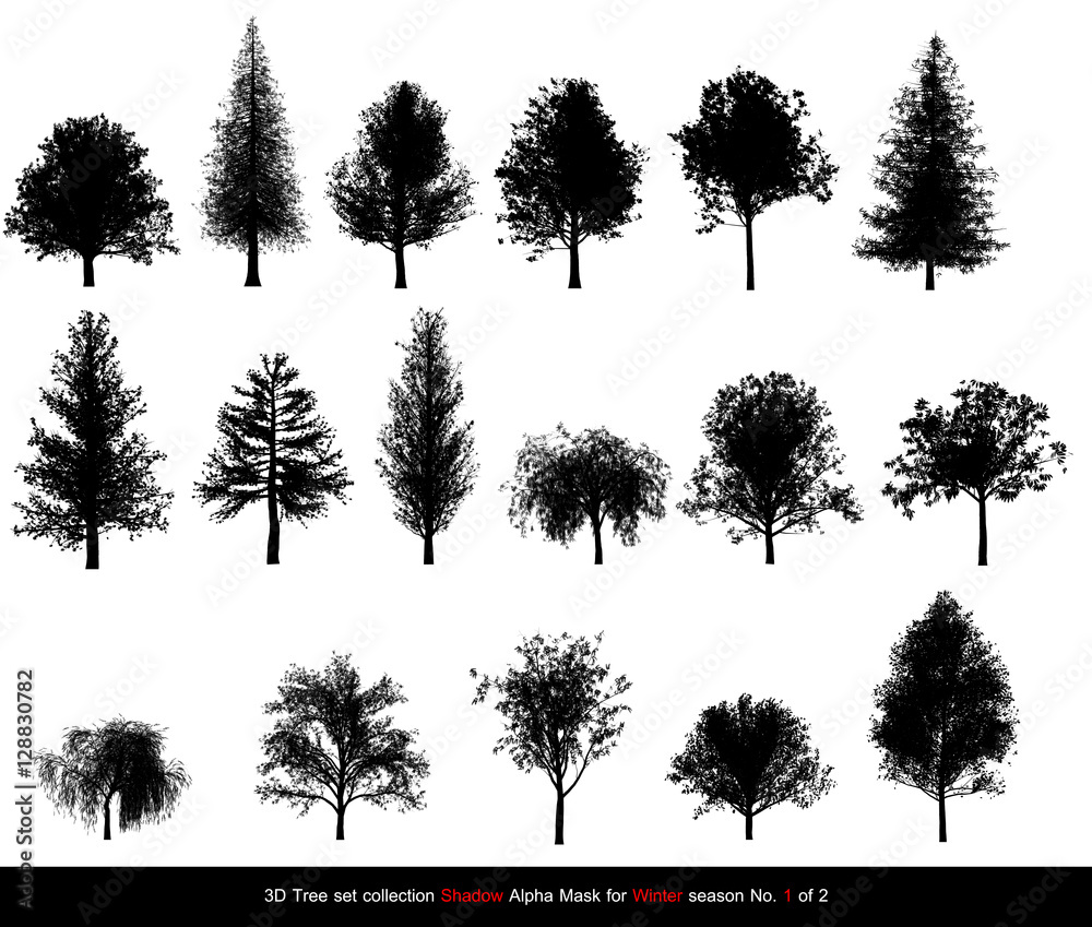 Silhouette Shadow black tree or alpha mask of Tree Winter season set ...