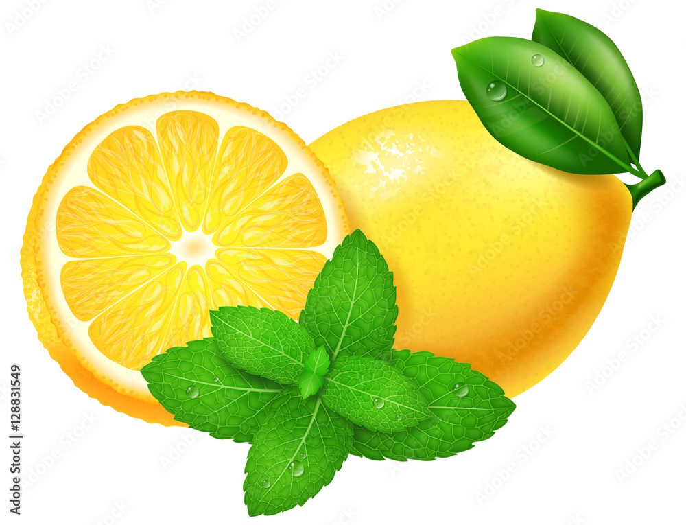 Lemon and mint. Vector illustration. Stock Vector | Adobe Stock