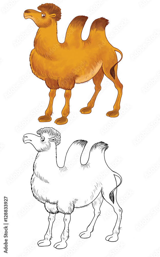 Coloring page with cute and funny camel Stock Illustration | Adobe Stock