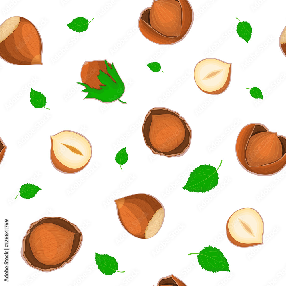 Vector seamless pattern hazelnut nut. Illustration of peeled nuts and ...