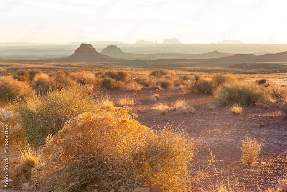 Prairie Stock Photo | Adobe Stock