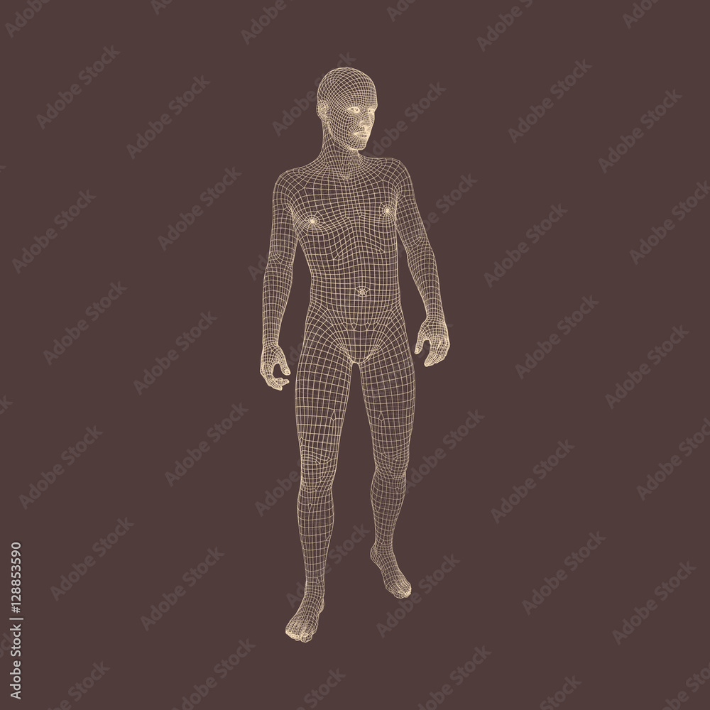 3D Model of Man. Geometric Design. Vector Illustration. Stock Vector ...