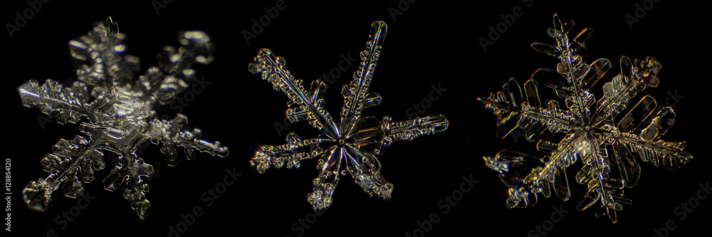 Snowflake under a microscope on the black background Stock Photo ...