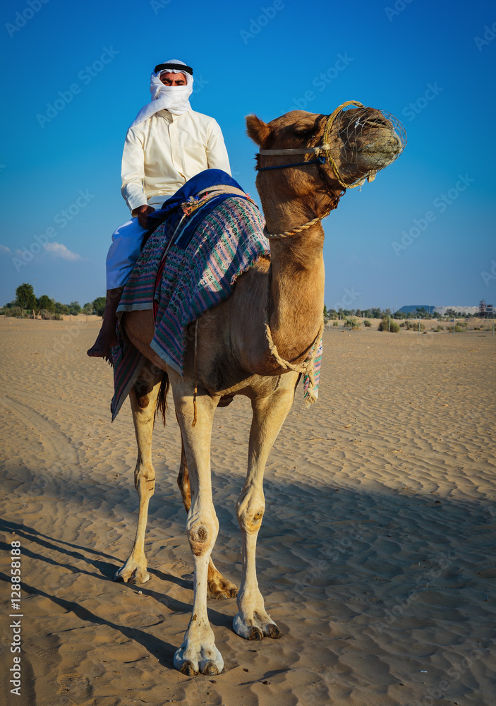 Arab man riding a camel in the desert Stock Photo | Adobe Stock