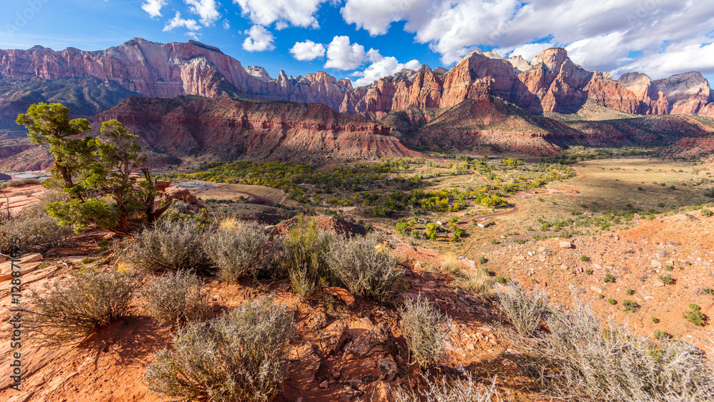 Dry trees on rock slopes. The rays of the sun illuminate the canyon ...