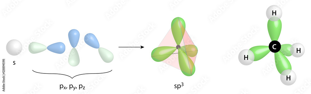sp3 hybrid orbitals Stock Illustration | Adobe Stock