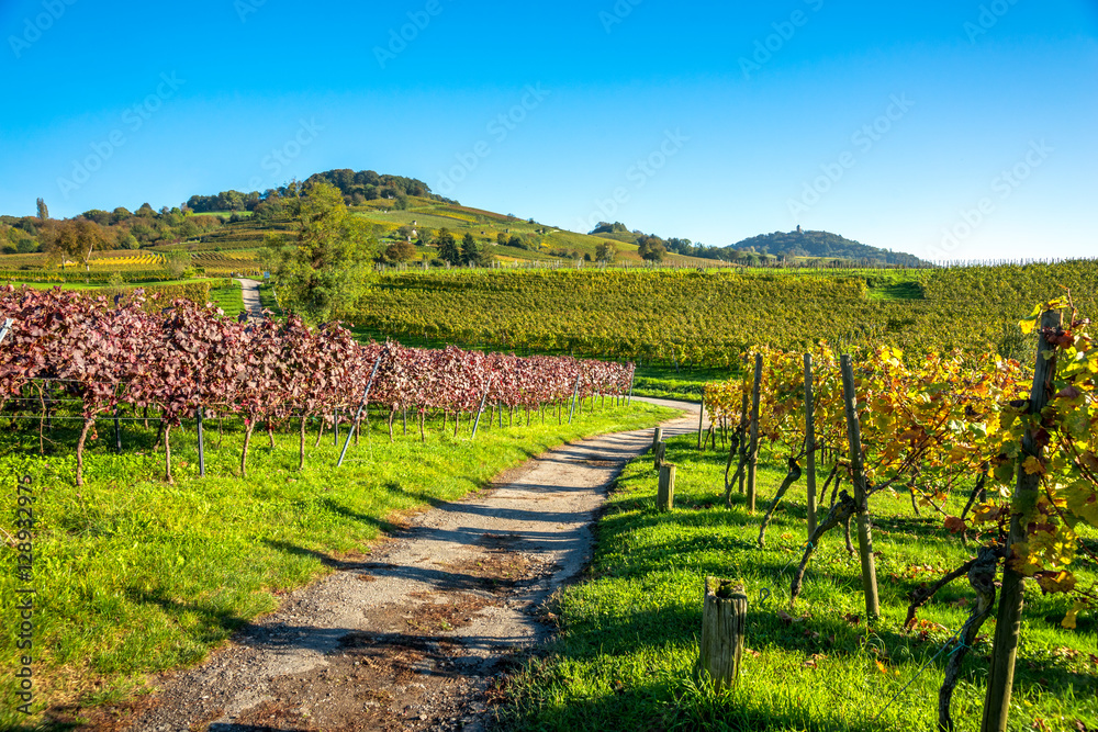 Weinberge Deutschland Stock-Foto | Adobe Stock