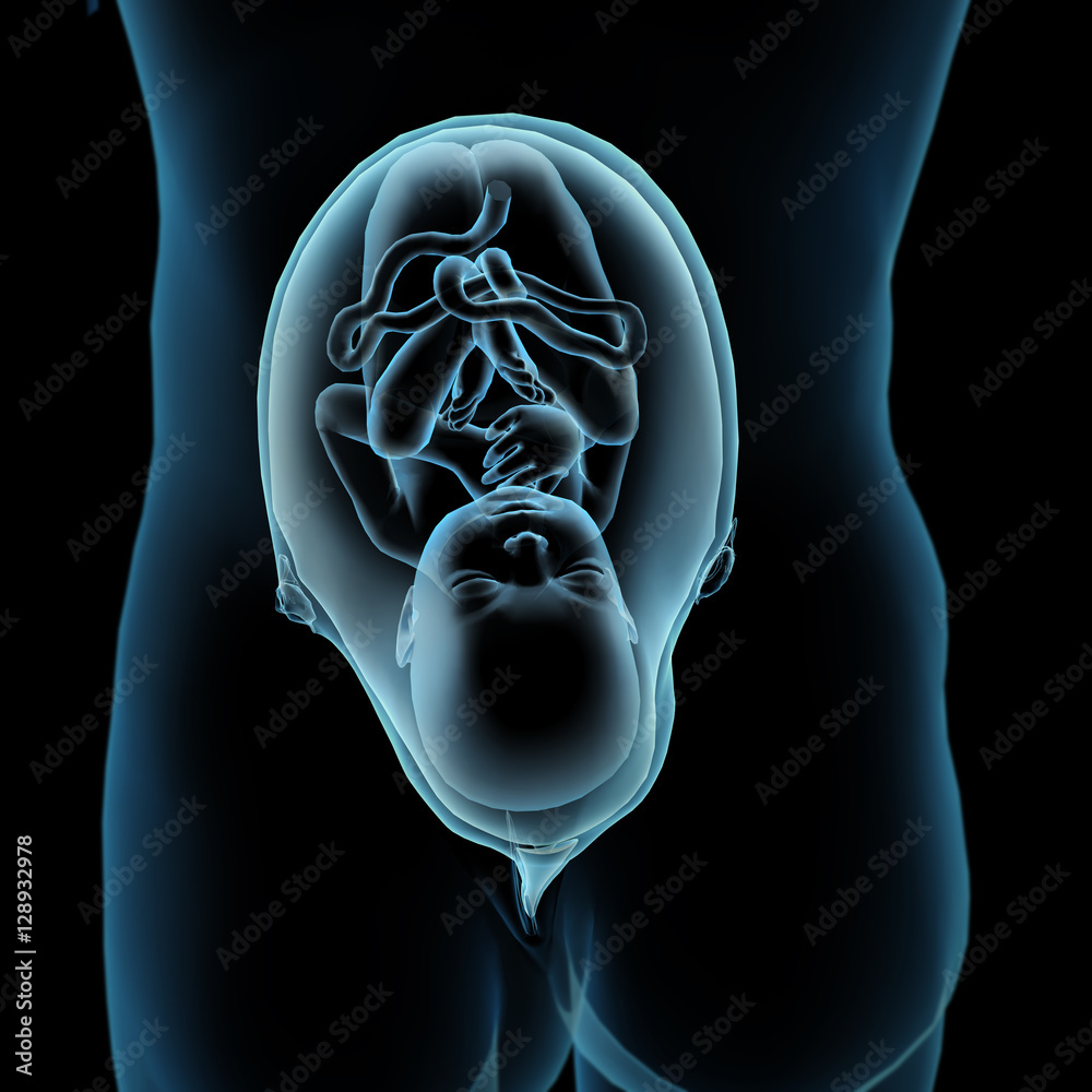 X Ray Pregnancy
