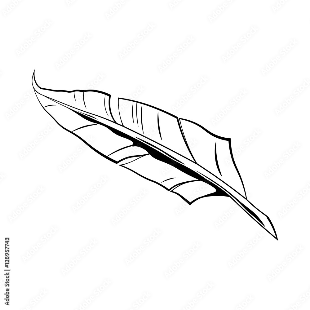 Feather pen. Vector Illustration Isolated On White Stock Vector | Adobe ...