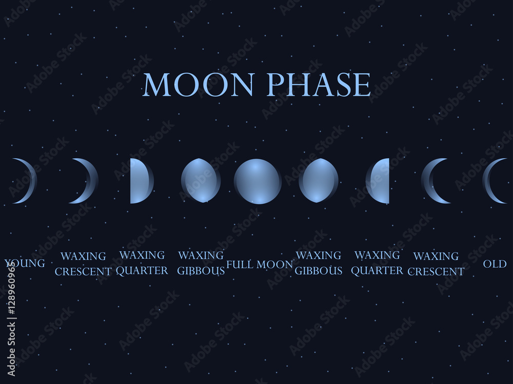 Phases of the moon. The whole cycle from new moon to full. Vector ...