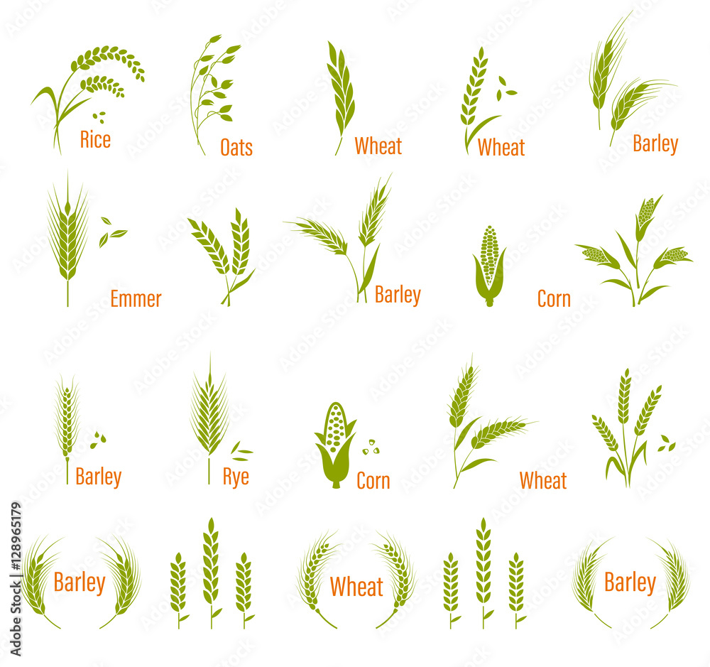Agricultural symbols isolated on white background. Stock Vector | Adobe ...