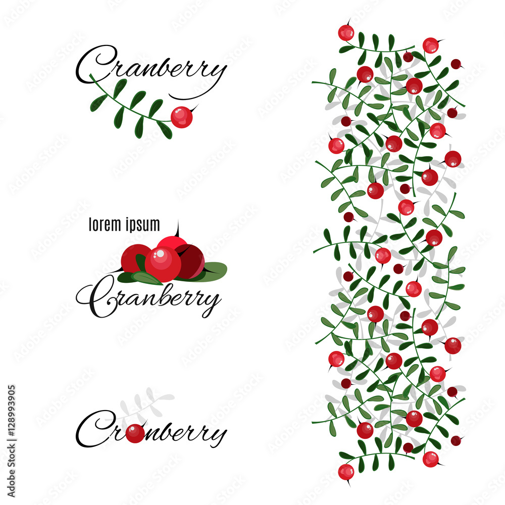Stylized cranberry labels isolated on a white background. Cute ...