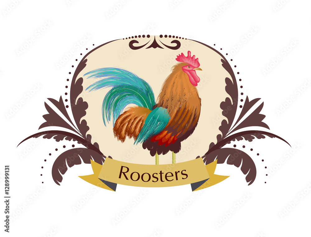 rooster logo with text ribbon in vintage style isolated Stock Vector ...