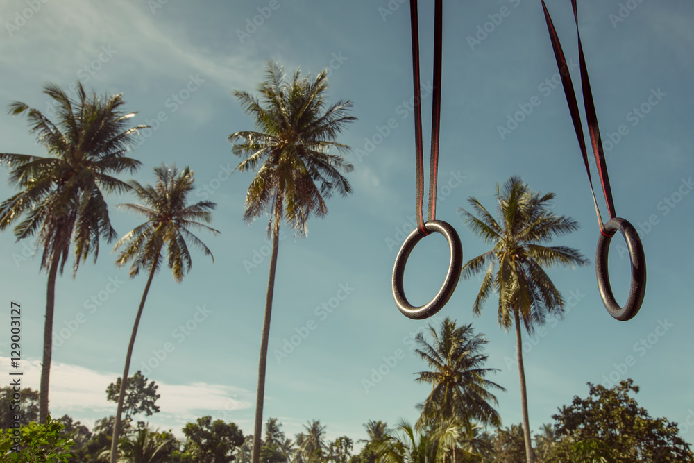 Gymnastic rings outdoor on Palm trees background. Summer sport and ...