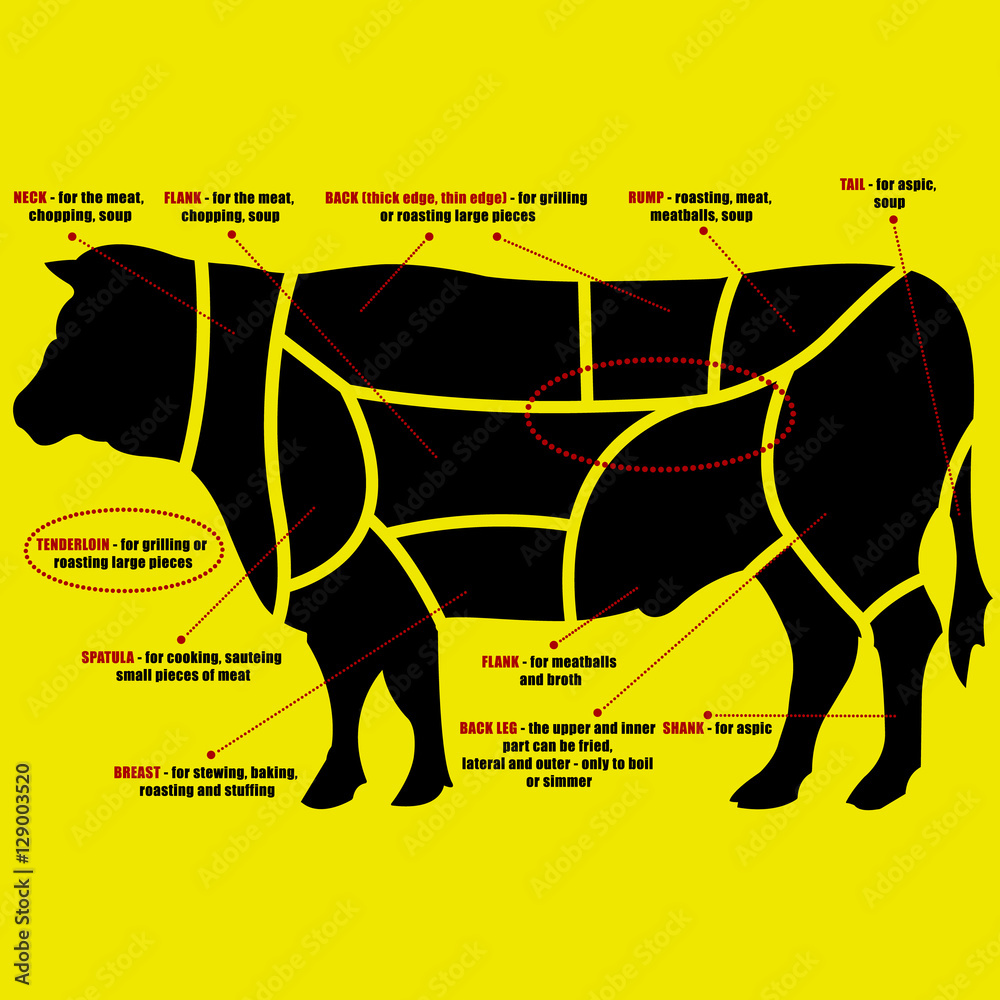 diagram of cuts of beef Stock Vector | Adobe Stock