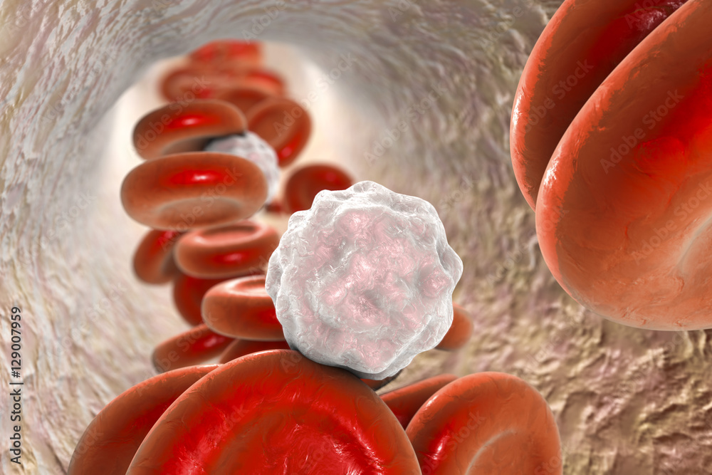 Inside blood vessel with red blood cells and white blood cells. 3D ...