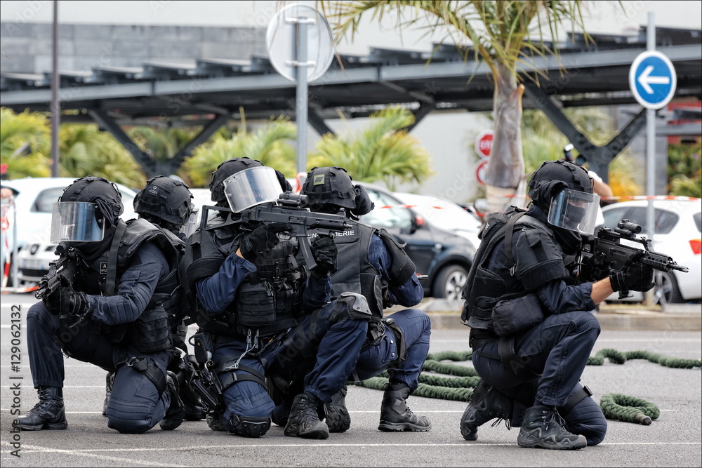 GIGN Stock Photo | Adobe Stock