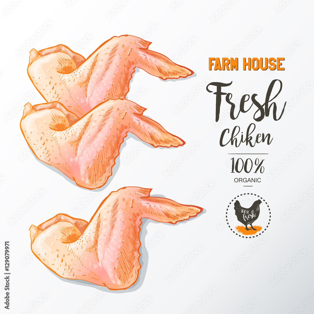 Fresh chicken wings vector Stock Vector | Adobe Stock