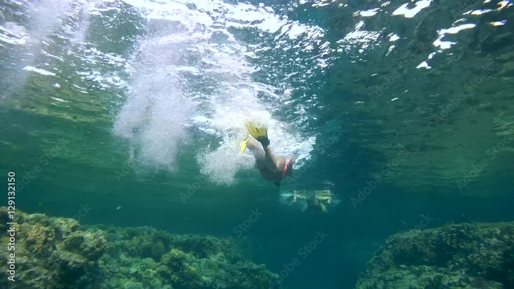 fish Sulfur Damsel (Pomacentrus sulfureus) swims over the shallow coral ...