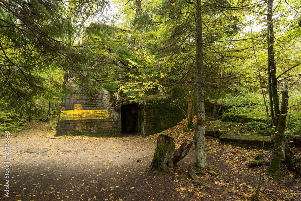 Wolf's Lair, Adolf Hitler's Bunker in Poland. First Eastern Front ...