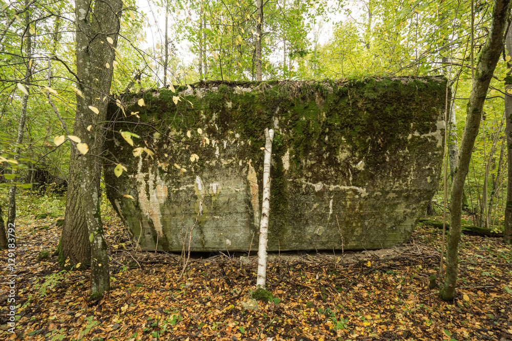 Foto de Wolf's Lair, Adolf Hitler's Bunker in Poland. First Eastern ...