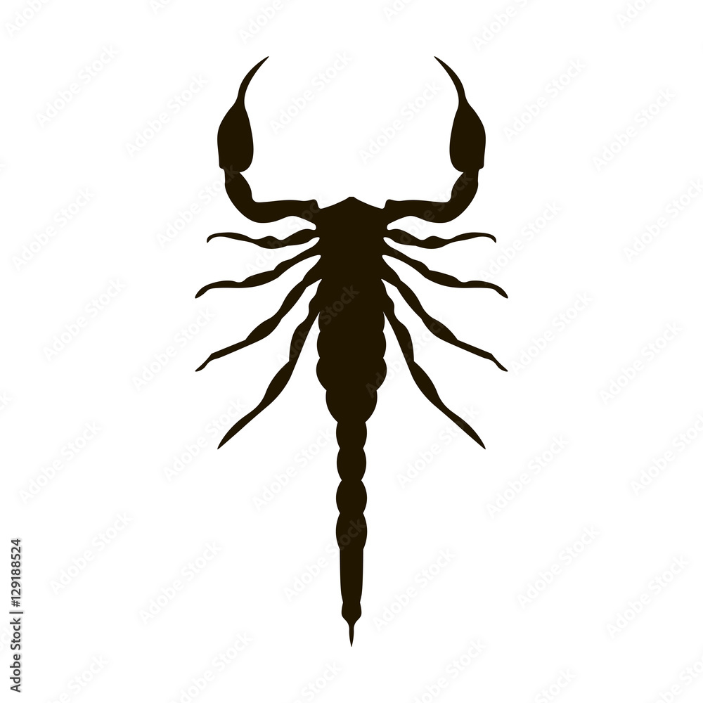 Scorpion vector illustration isolated on a white background Stock ...
