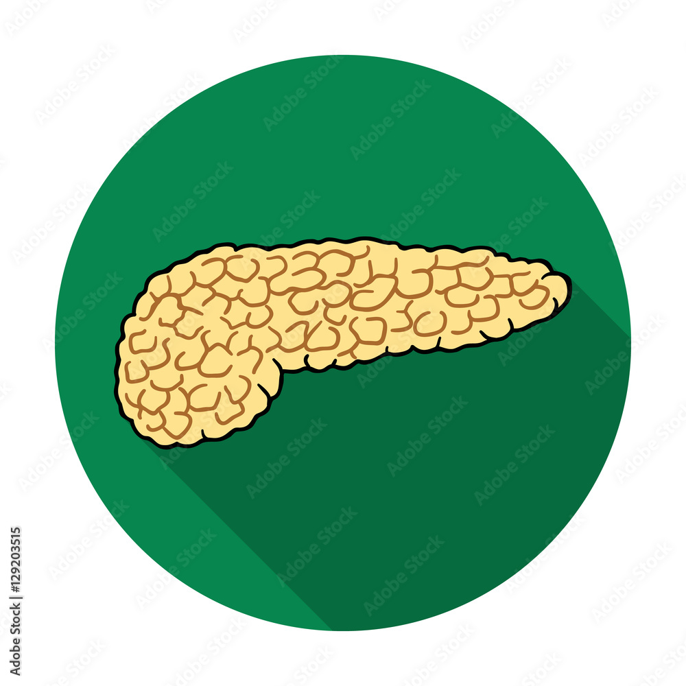 Human pancreas icon in flat style isolated on white background. Human ...