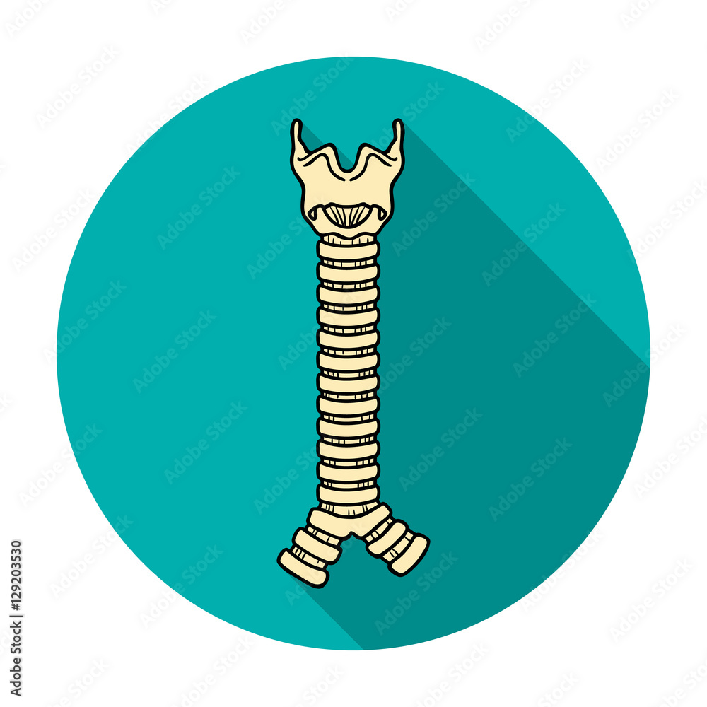 Human trachea icon in flat style isolated on white background. Human ...