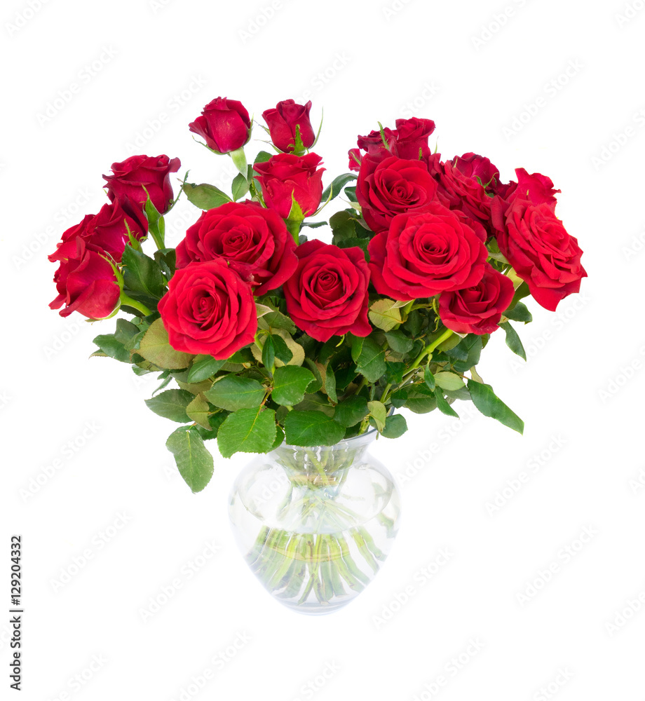 Bouquet of dark red rose buds with green leaves in glass vase isolated ...