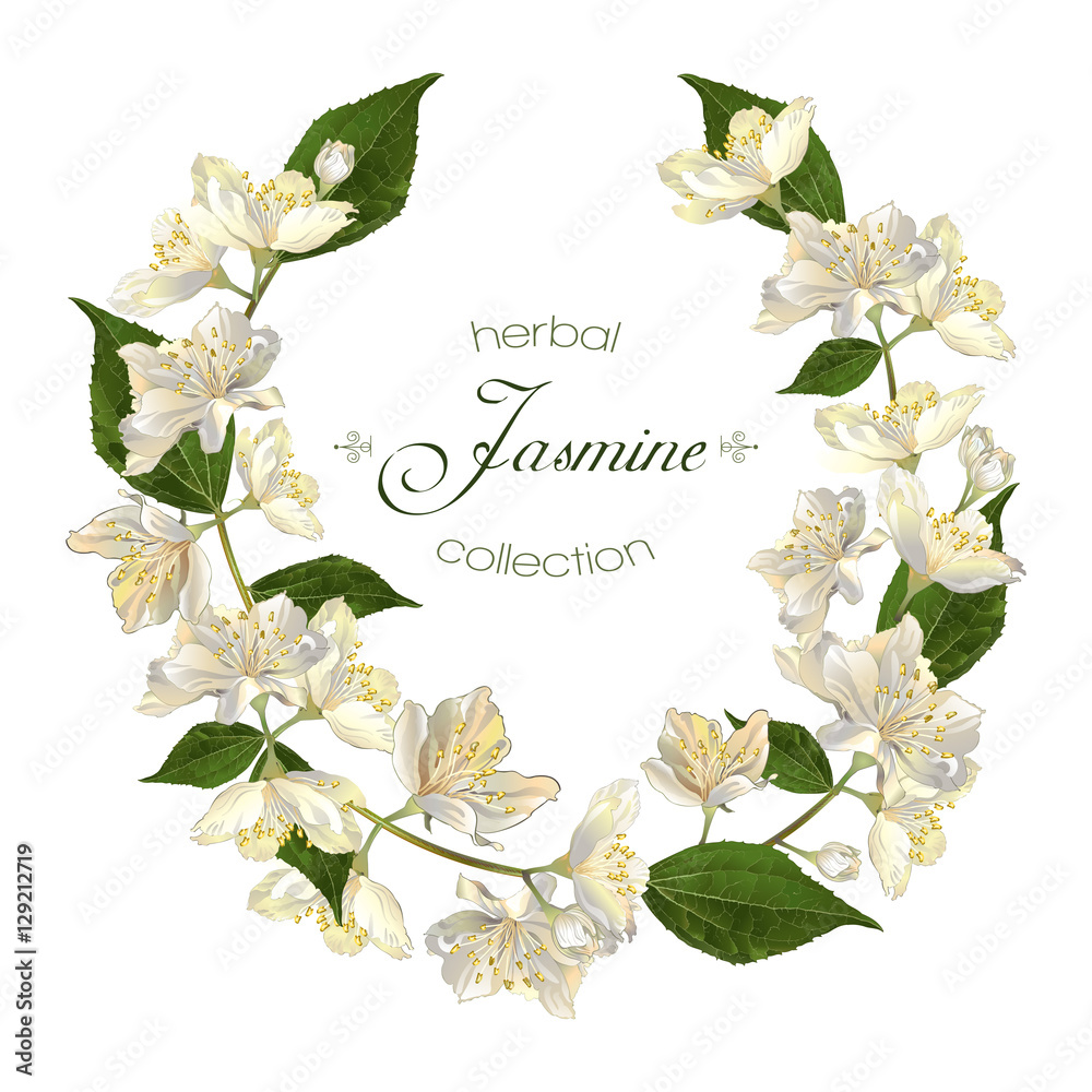 Jasmine flowers wreath Stock Vector | Adobe Stock